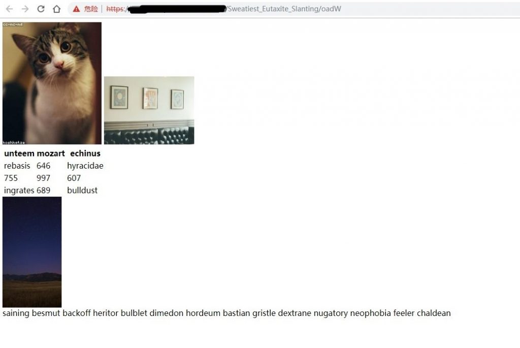 Analysis of Ransomware Epidemic In February 2019 | 360 Total Security Blog